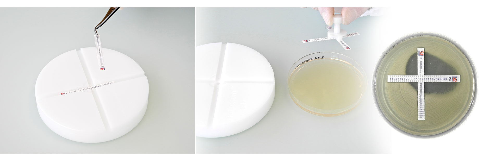 Microbiologia clinica e industriale | Liofilchem