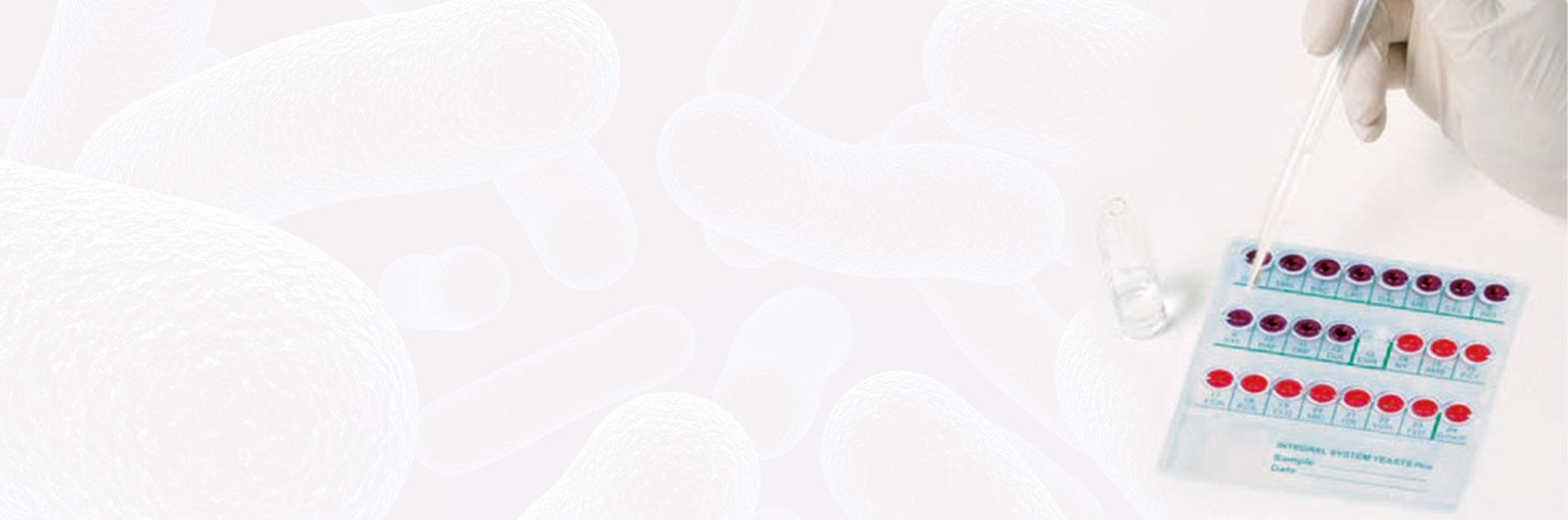 Microbiologia clinica e industriale | Liofilchem