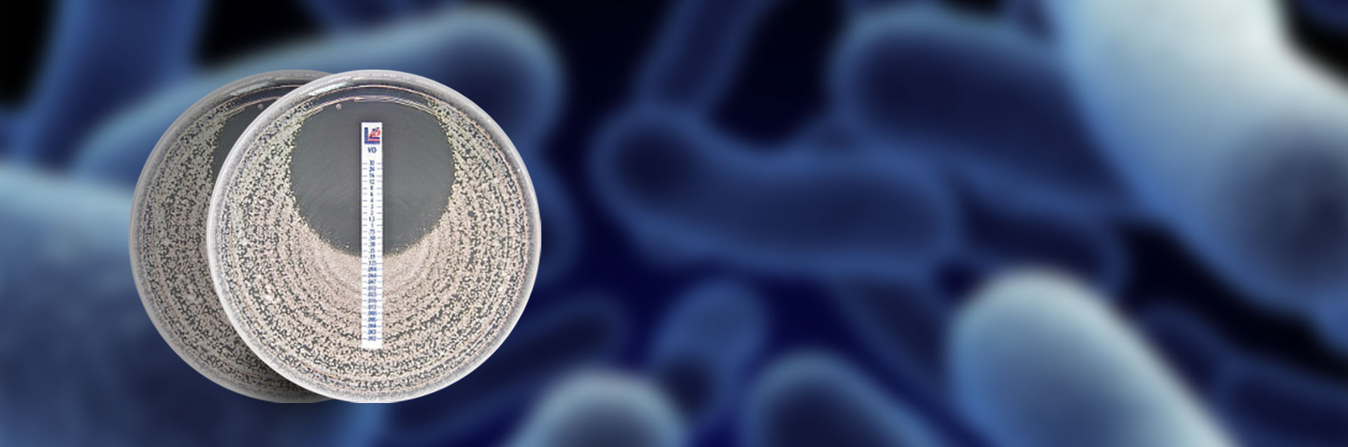 Microbiologia clinica e industriale | Liofilchem